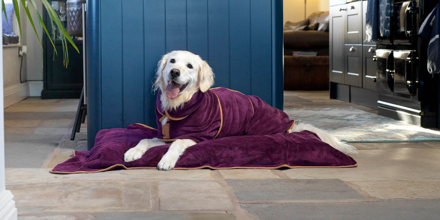 Dog Drying Coats – Lucky Paws